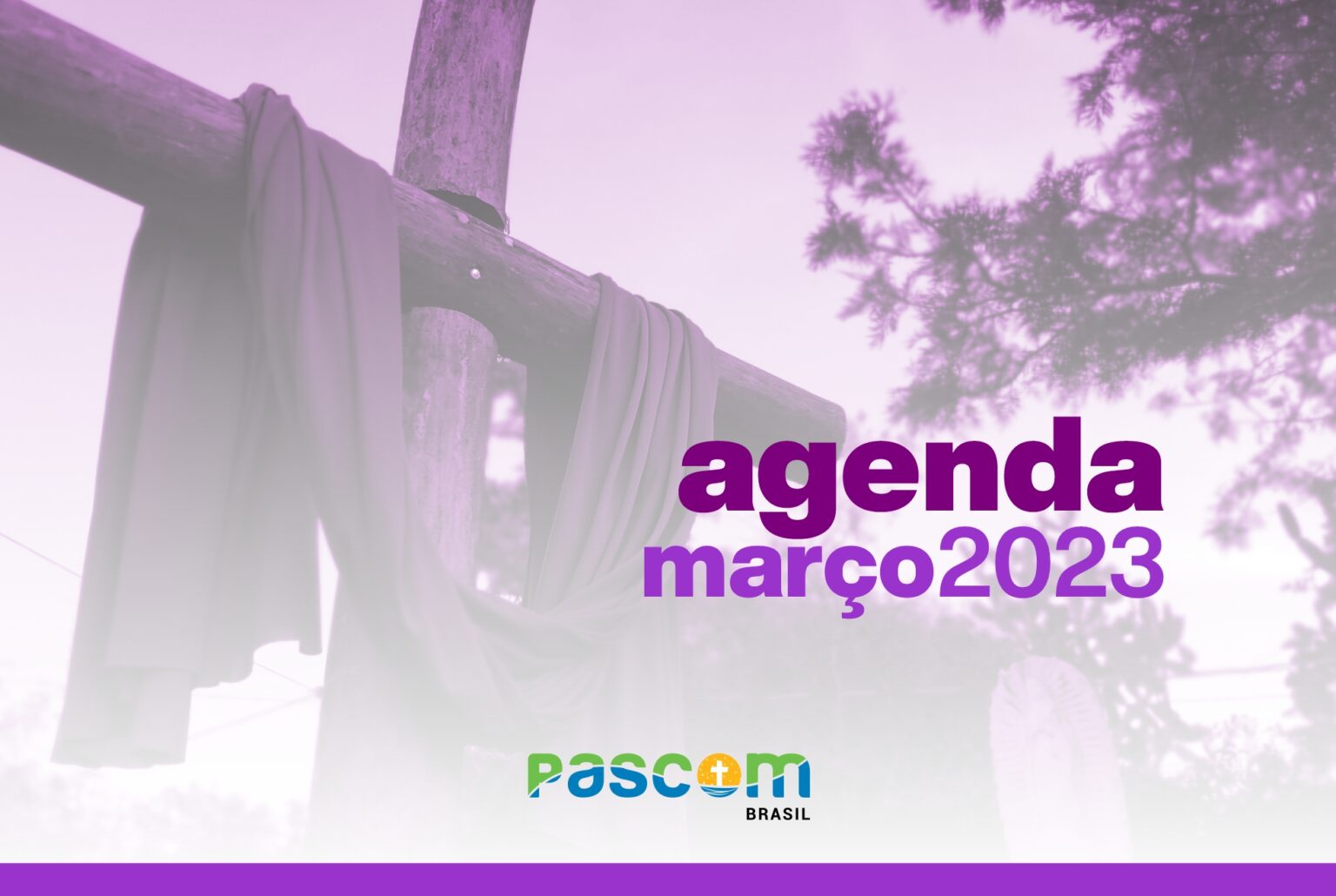 Home - Pascom Brasil